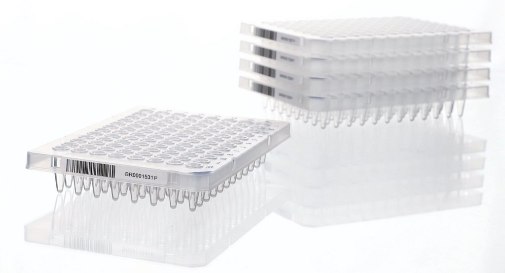 Polymerase chain reaction (PCR)