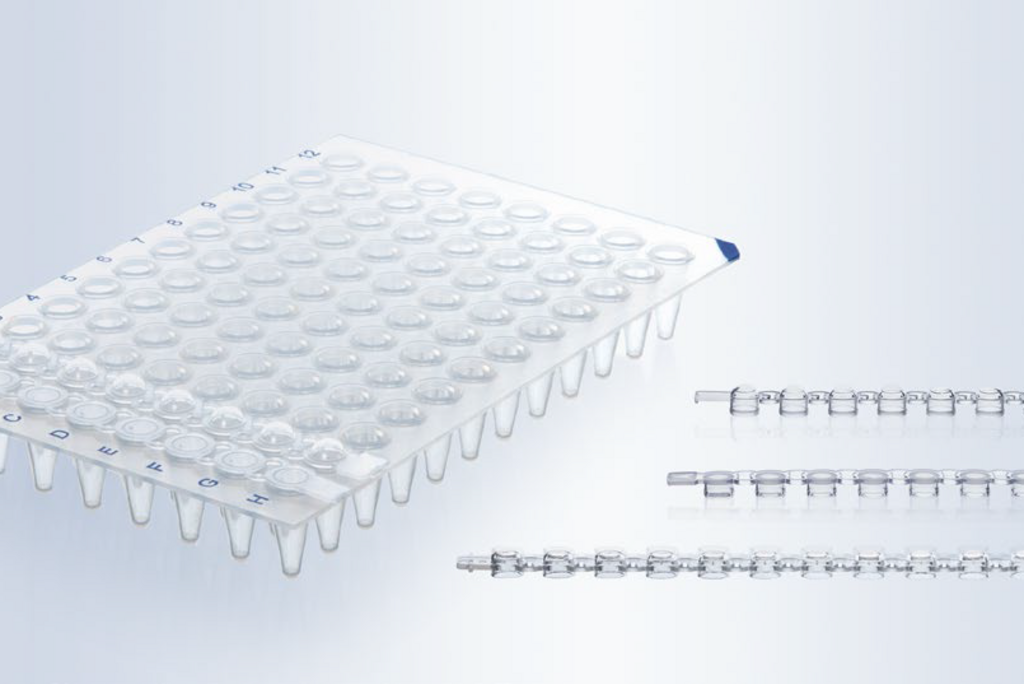 Polymerase chain reaction (PCR)
